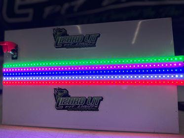 Lizard Lit Pit Lights